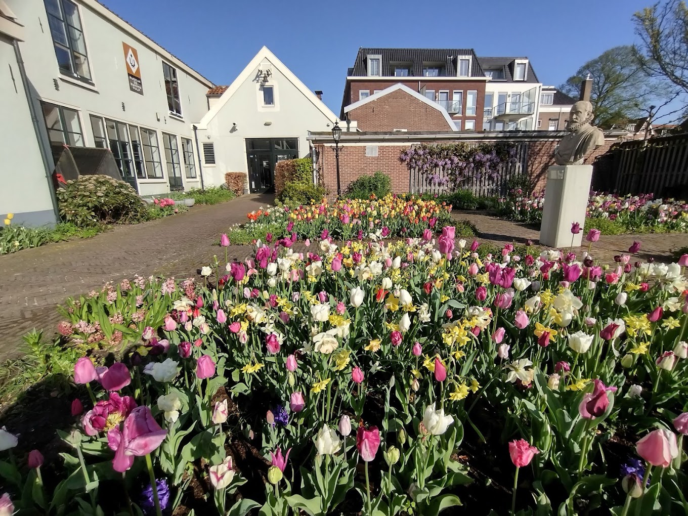 Museum De Zwarte Tulp feest van kleur: must see in Lisse - Museumkijker.nl - Museumkijker.nl