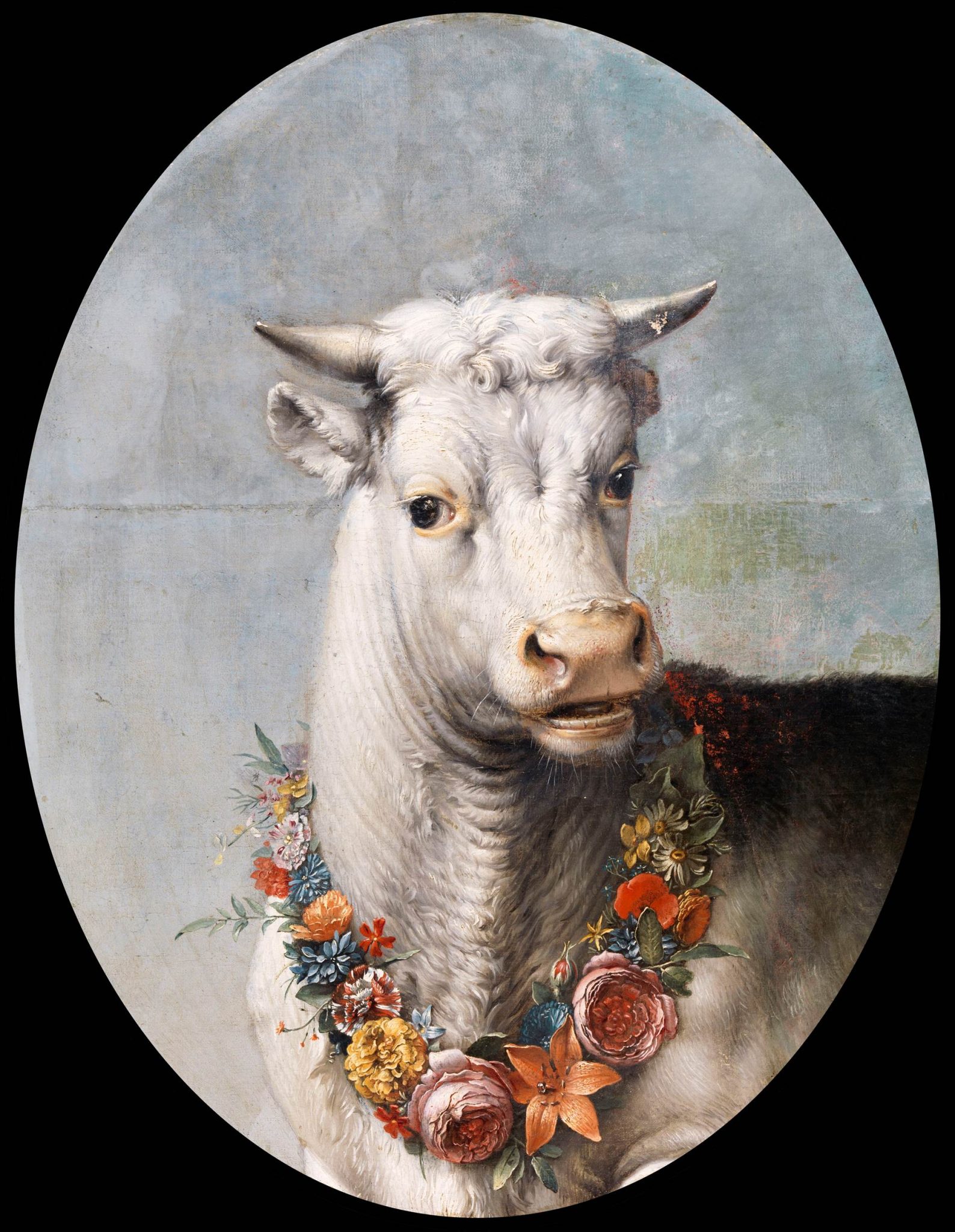 Meekijken met restauratie Potters stier achter glas in Mauritshuis ...