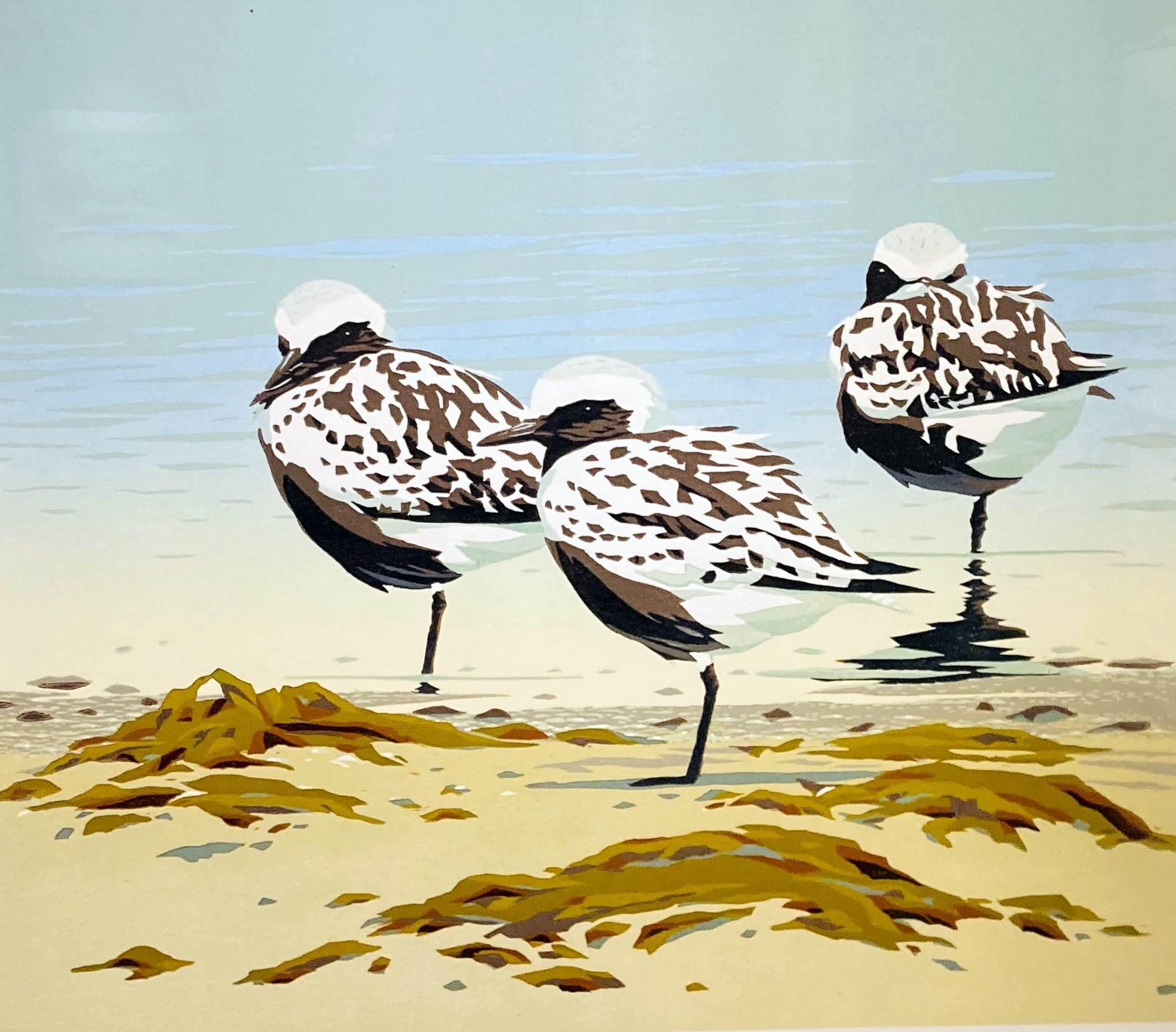 Nu in Slot Zeist: vogelkunstenaar Erik van Ommen wereldwijd op reis ...