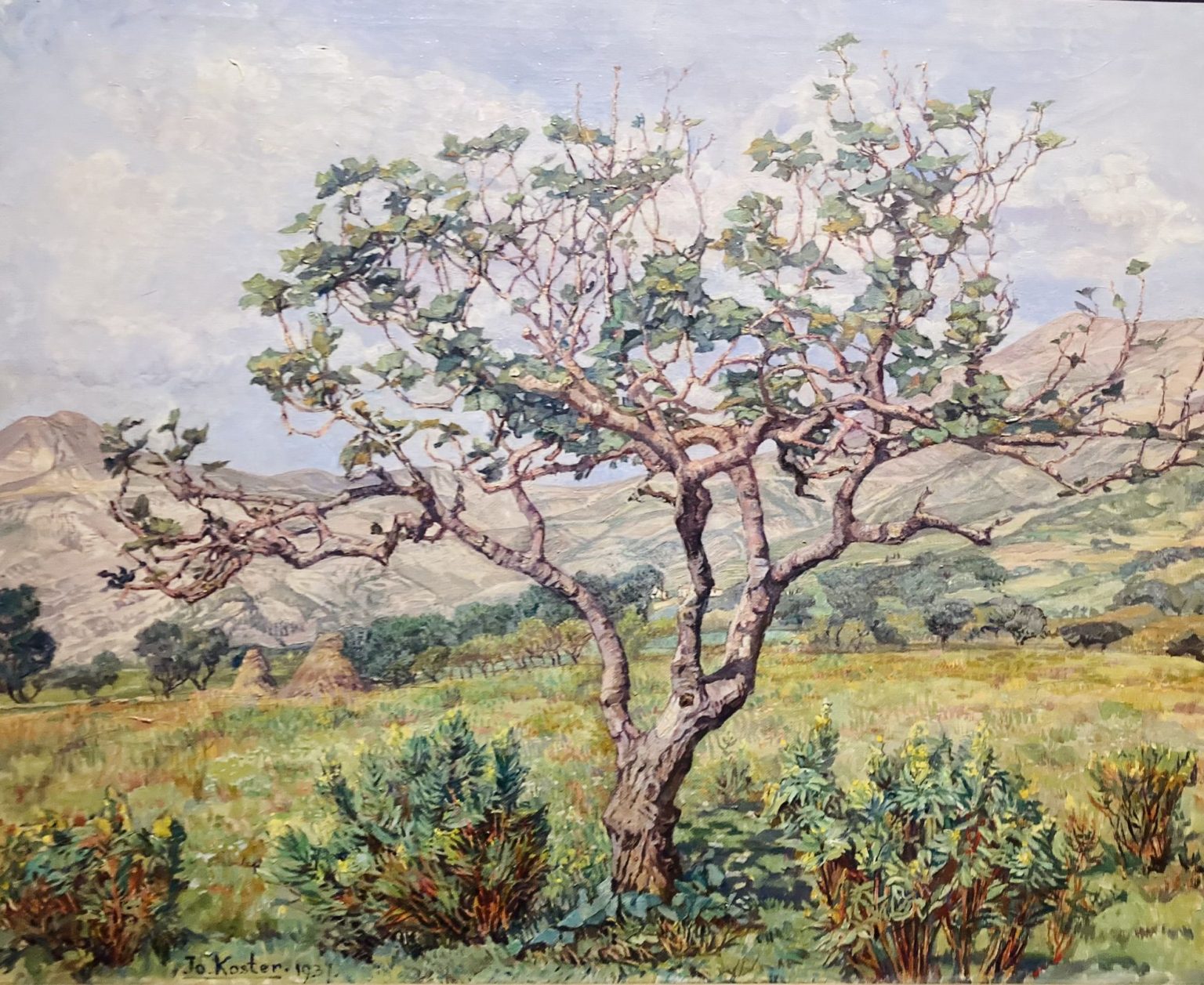 Stralende landschappen en meer: veelzijdige Jo Koster in Museum Gouda ...